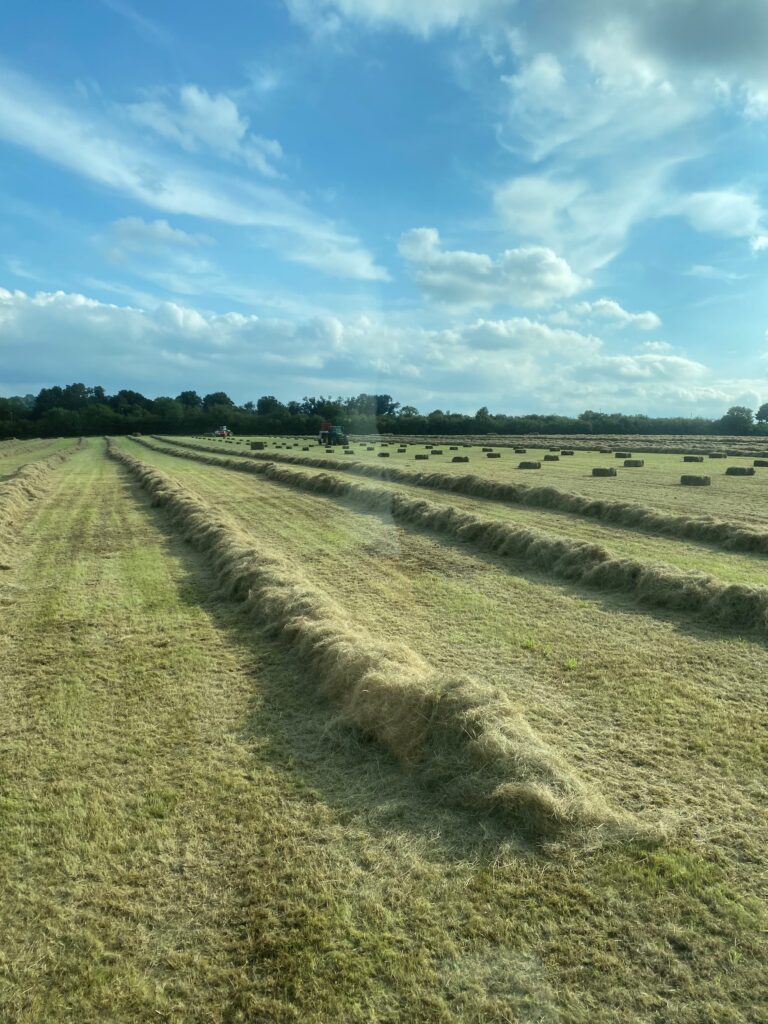 Langley Bottom Farm Update - Woodcote (Epsom) Residents SocietyWoodcote ...