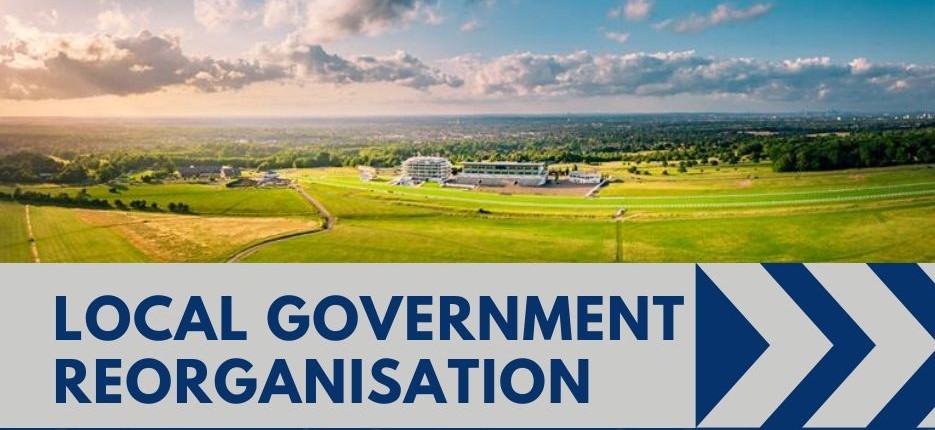 Have your Say on the Future of Local Government in Surrey - Woodcote ...